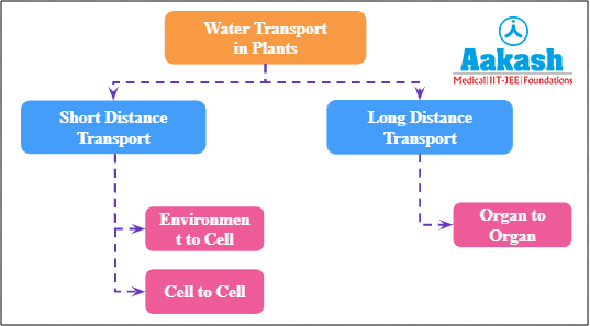 Plant Water Relations: Water Potential, Solute Potential, Pressure ...