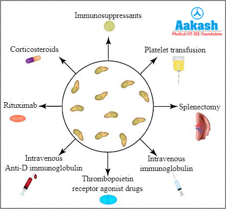 Platelets: Thrombopoeisis, Shape and Size, Mechanism of Blood Clotting ...