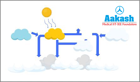 Photochemical Reactions in Biology: Definition, Types and Importance | AESL