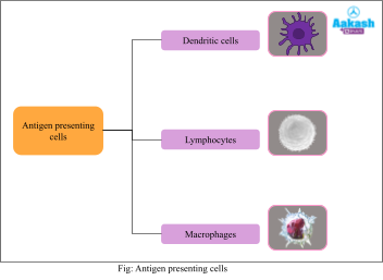 Acquired immunity: Definiton, Types of Immunity and Practice Questions ...