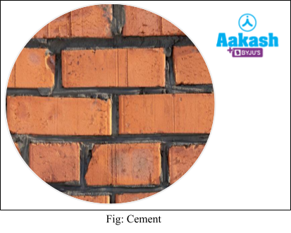 Dense connective tissue - Components, Types, Cells & Fibres - Biology ...