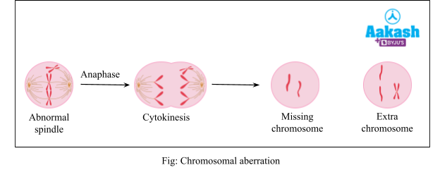 Chromosomal Disorders: Types, Symptoms & Chromosomal Disorders | AESL