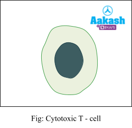 Acquired immunity: Definiton, Types of Immunity and Practice Questions ...