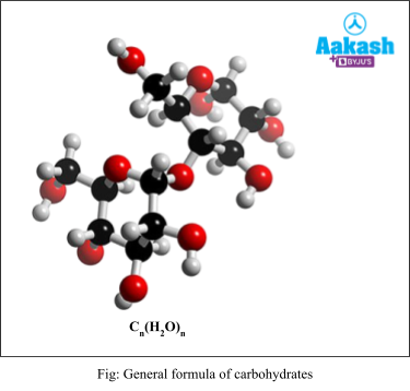 Carbohydrates: Structure, Formula & Classification | AESL