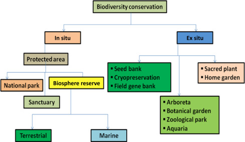 Biodiversity and its Conservation - Biology | AESL