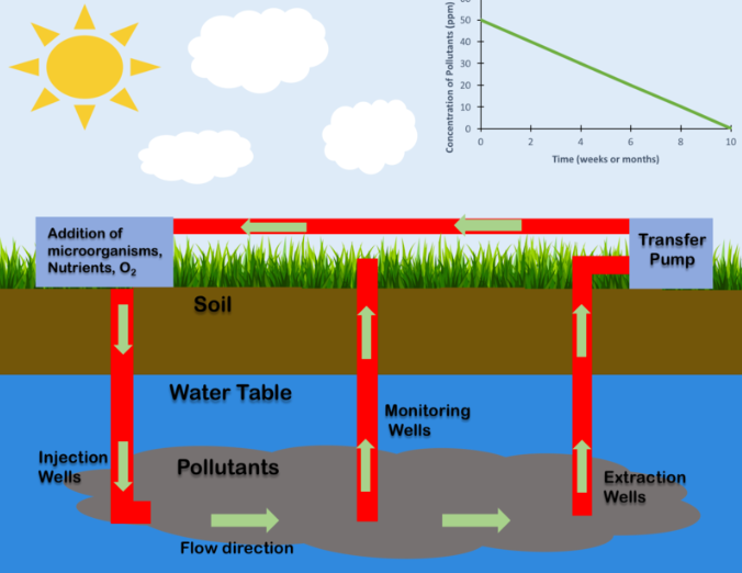 Bioremediation in Biology: Definition, Types and Importance | AESL