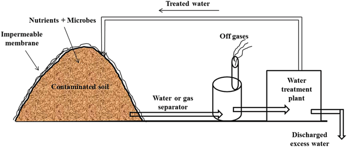 Bioremediation in Biology: Definition, Types and Importance | AESL