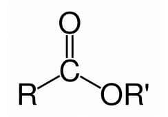 Formation of Esters in Chemistry: Definition, Types and Importance | AESL