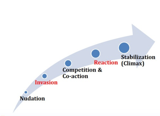 Ecological Succession in Biology: Definition, Types and Importance | AESL