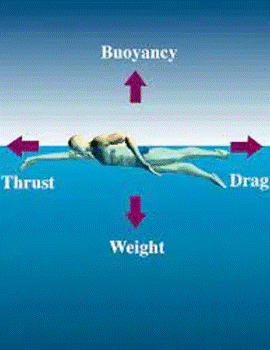 Friction in Physics: Definition, Types and Importance | AESL