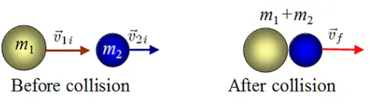 Inelastic Collision: Definition, Examples, Practice Problems, FAQs in Physics: Definition, Types ...