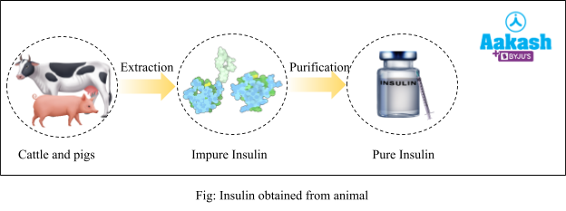 Gene Therapy Types, Genetically Engineered Insulin & Molecular ...