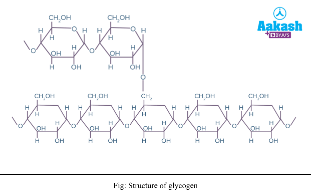 Disaccharides, Oligosaccharides & Polysaccharides Definition | AESL