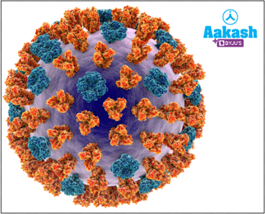 Common Causes of Respiratory Disorders System & Mountain Sickness | AESL