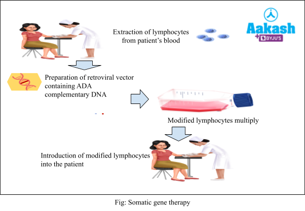 Gene Therapy Types, Genetically Engineered Insulin & Molecular ...