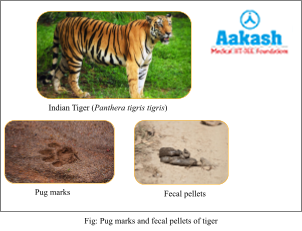 Population Attributes Density, Meaning, Examples, Birth & Death Rate | AESL