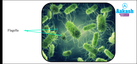 Human Diseases Types, Symptoms, Transmission & Treatment | AESL