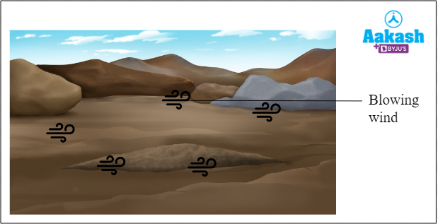 Soil Erosion: Definition, Causes, Prevention & Effects | AESL