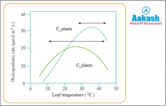 Photosynthesis: Definition, Location and Types | AESL