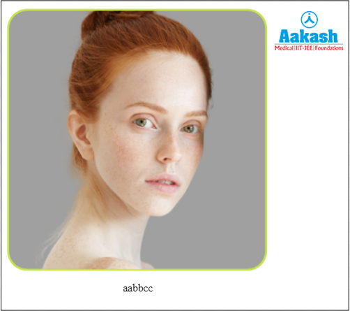 Polygenic Inheritance: Characteristics, Examples, Practice Problems and ...