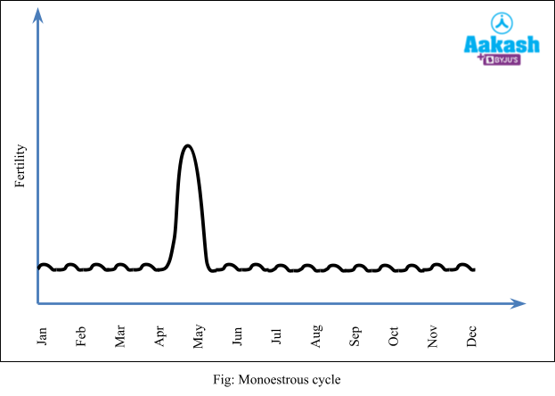 Sexual Reproduction: Overview, Phases & Reproductive Cycles | AESL
