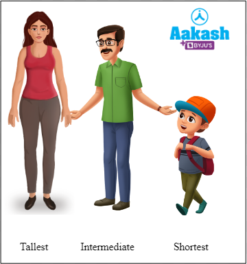 Polygenic Inheritance: Characteristics, Examples, Practice Problems and ...