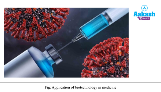 Gene Therapy Types, Genetically Engineered Insulin & Molecular ...