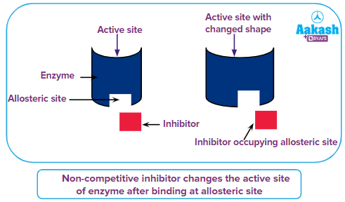 Drug Enzyme Interaction in Chemistry: Definition, Types and Importance ...