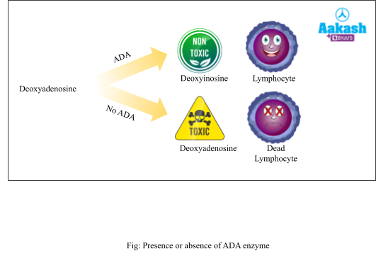 Gene Therapy Types, Genetically Engineered Insulin & Molecular ...