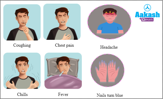 Common Causes of Respiratory Disorders System & Mountain Sickness | AESL