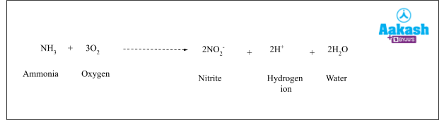 Nitrogen Cycle Diagram, Nitrogen Fixation, Nitrification ...