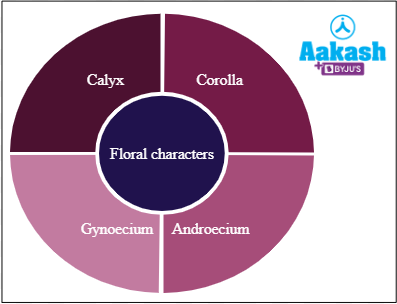 Floral: Diagram, Formula, Characters & Parts of Flower | AESL