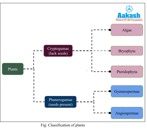 Kingdom Plantae: Characteristics, Nutrition, Reproduction in Plants ...