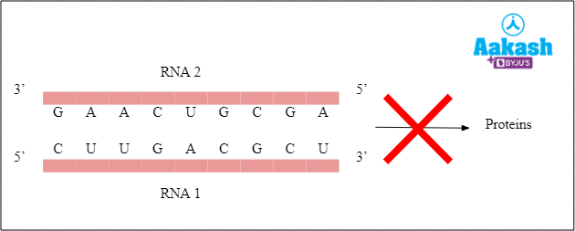 Central Dogma, Transcription, Reverse Transcription Practice Problems ...