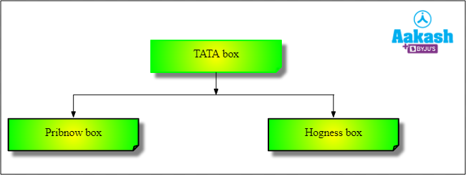 Central Dogma, Transcription, Reverse Transcription Practice Problems ...