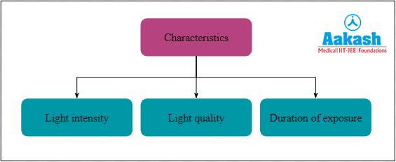 Photosynthesis: Definition, Location and Types | AESL