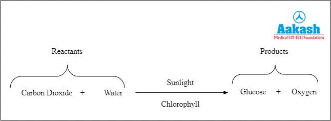Photosynthesis: Definition, Location and Types | AESL