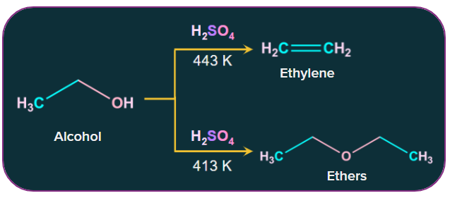 Ethanol: Structure, Formula, Preparation & Properties - Chemistry ...
