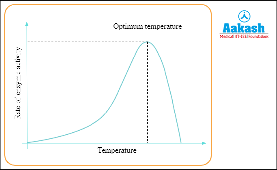 Photosynthesis: Definition, Location and Types | AESL