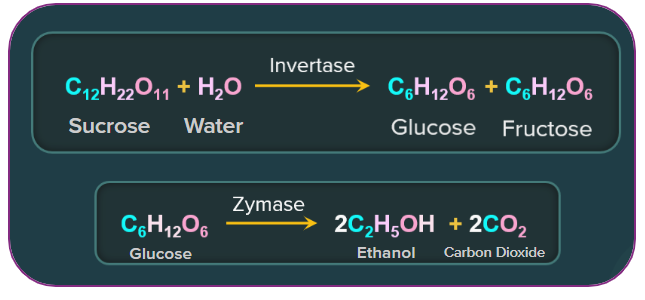 Ethanol: Structure, Formula, Preparation & Properties - Chemistry ...