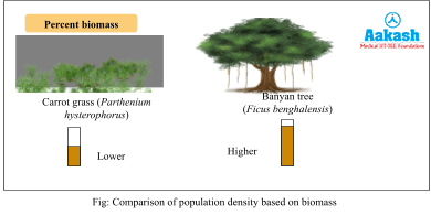 Population Attributes Density, Meaning, Examples, Birth & Death Rate | AESL