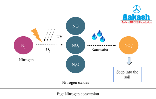 Nitrogen Cycle Diagram, Nitrogen Fixation, Nitrification ...