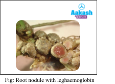 Nitrogen Cycle Diagram, Nitrogen Fixation, Nitrification ...