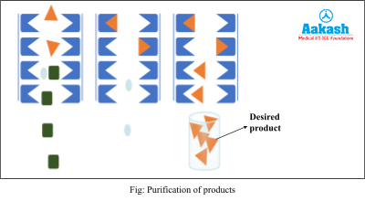 Large Scale Production in DNA Technology & Process | AESL