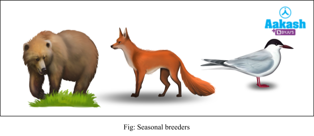 Sexual Reproduction: Overview, Phases & Reproductive Cycles | AESL