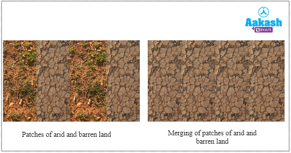 Soil Erosion: Definition, Causes, Prevention & Effects | AESL