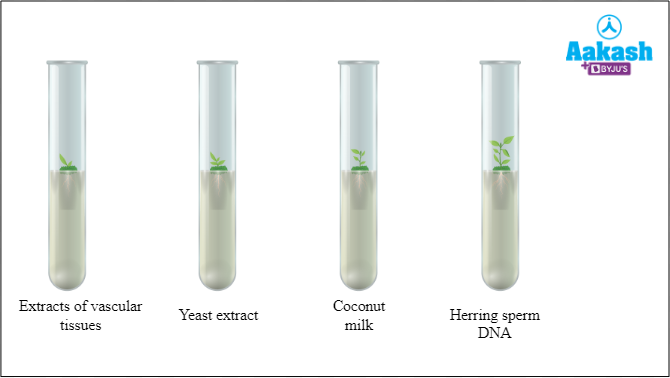 Cytokinin: Function, Hormone, Structure & Example | AESL