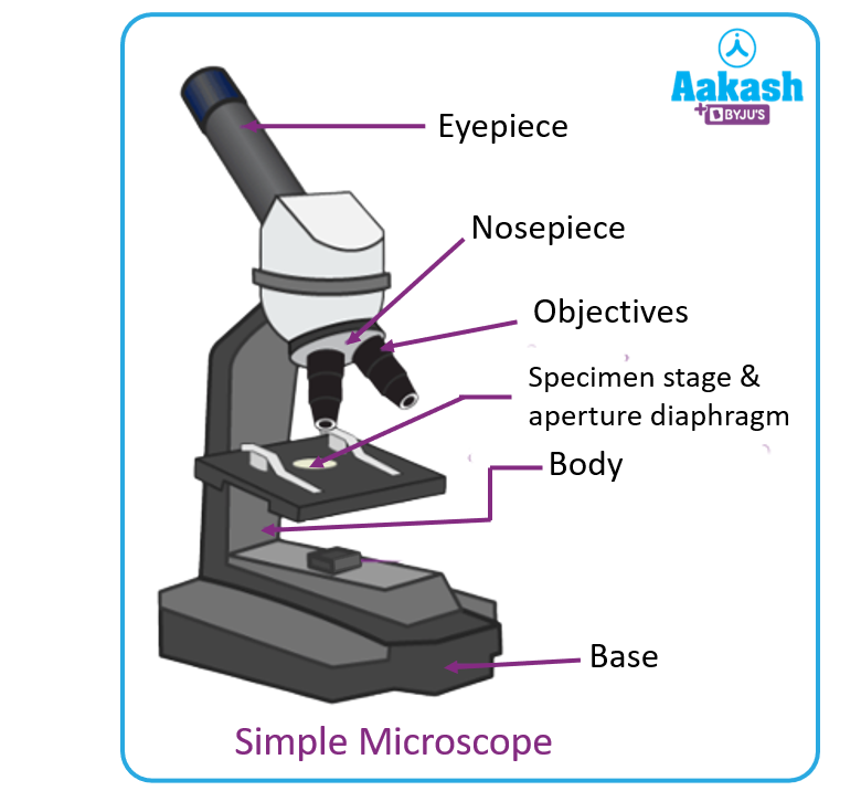 Simple Microscope: Diagram, Principle & Magnification | AESL