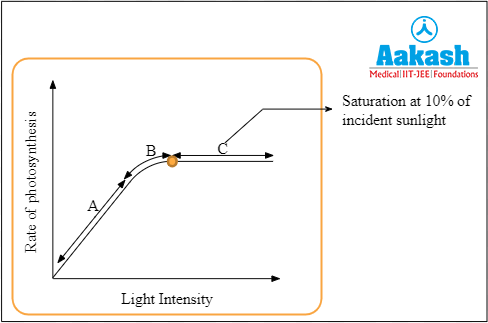 Photosynthesis: Definition, Location and Types | AESL