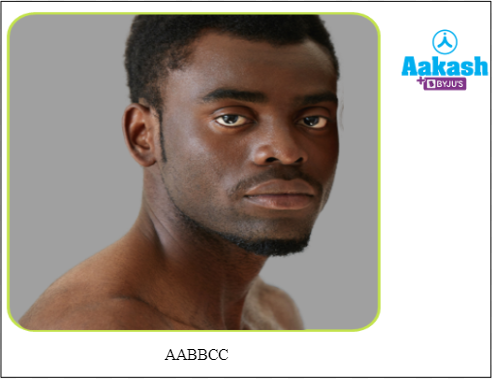 Polygenic Inheritance: Characteristics, Examples, Practice Problems and ...